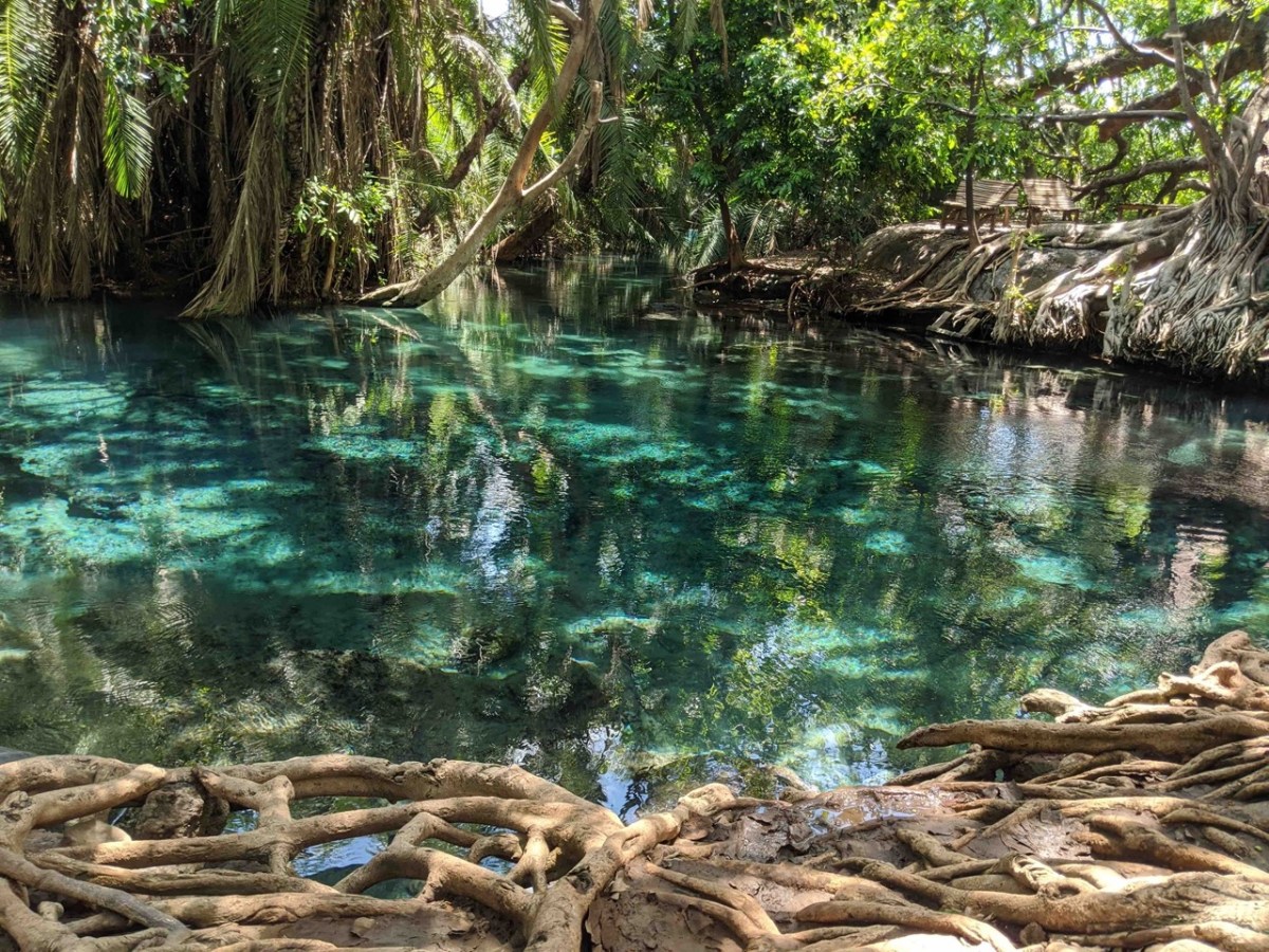 Chemka Hotsprings Day Tour – The Aura of Africa