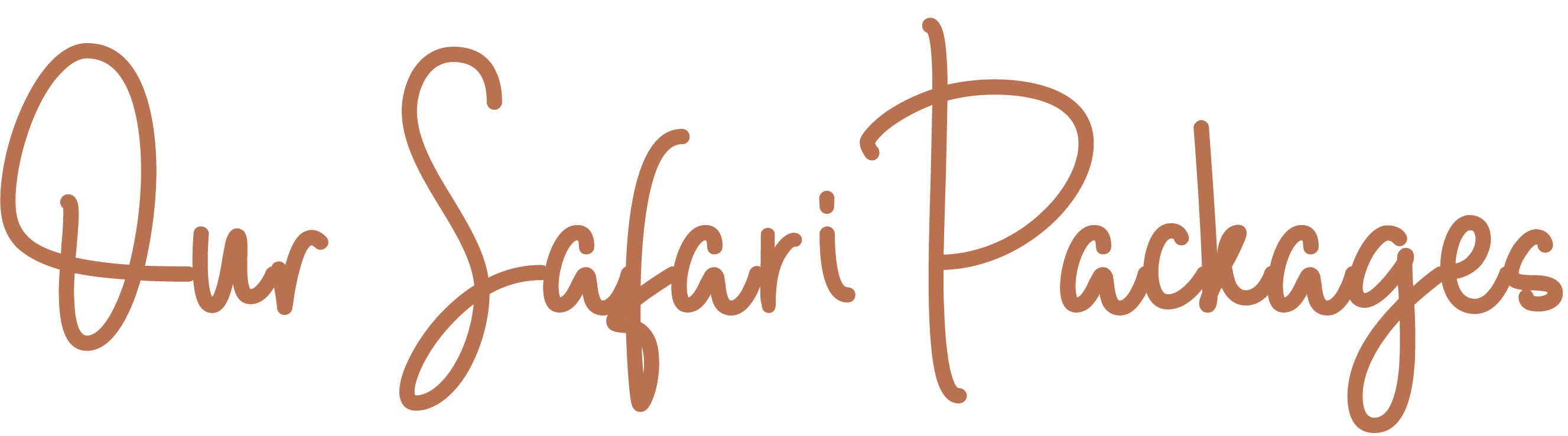 Our Safari Packages – The Aura of Africa